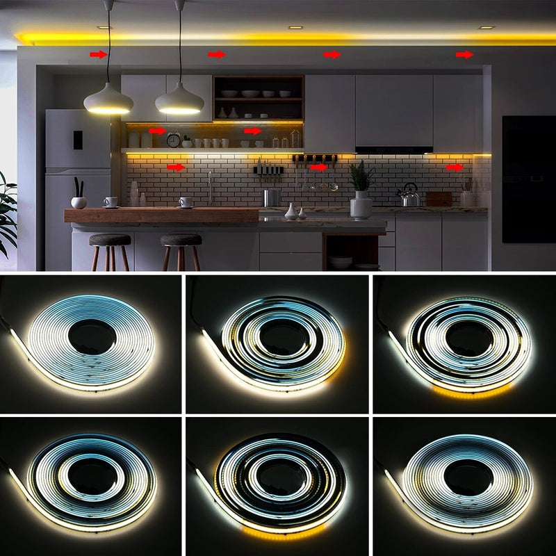 FCOB SPI CCT LED Strip